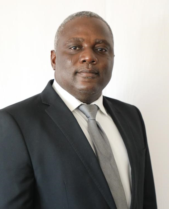 Executive Profile - MFSGM - Portal Ariel